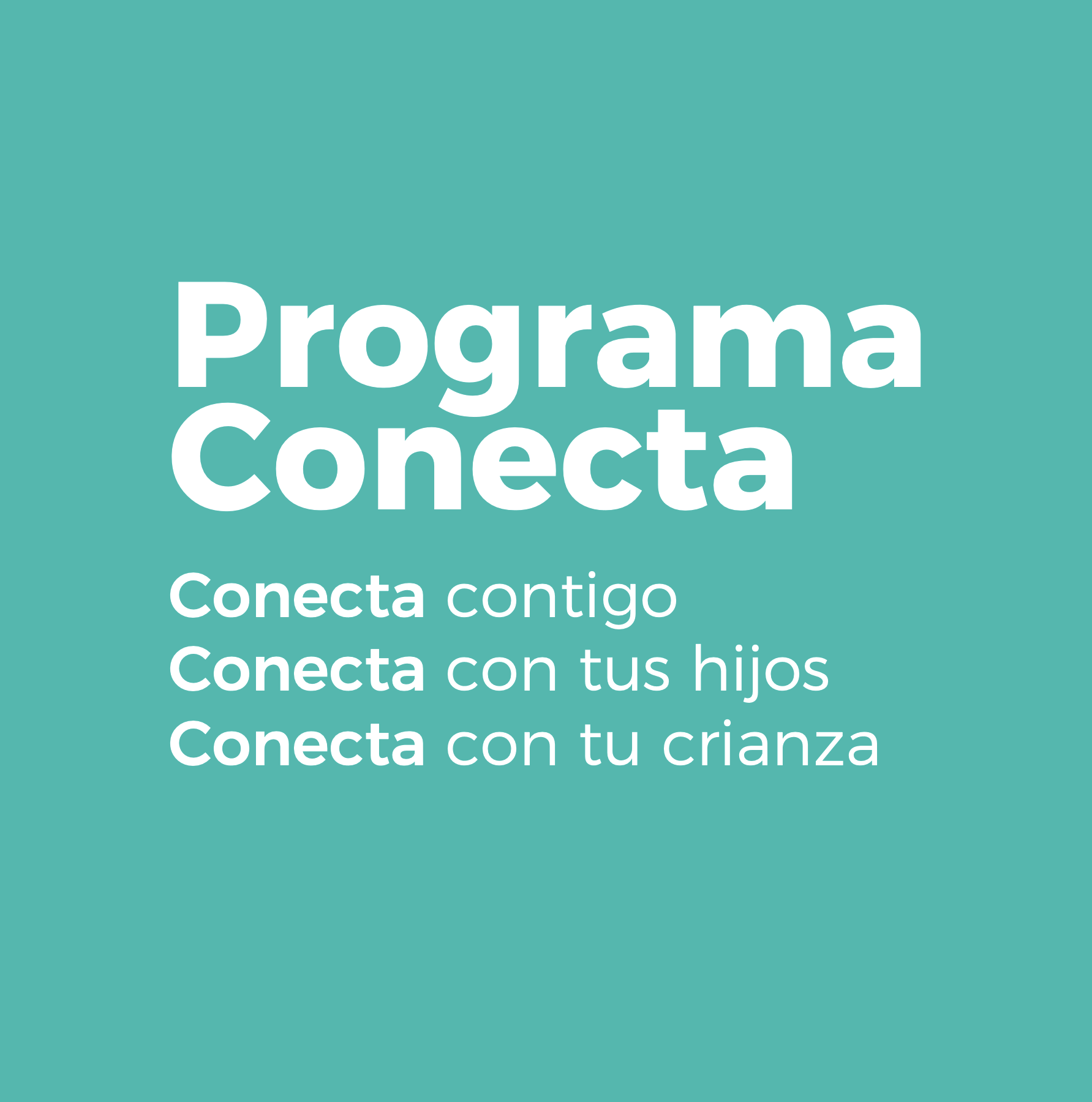 Programa CONECTA